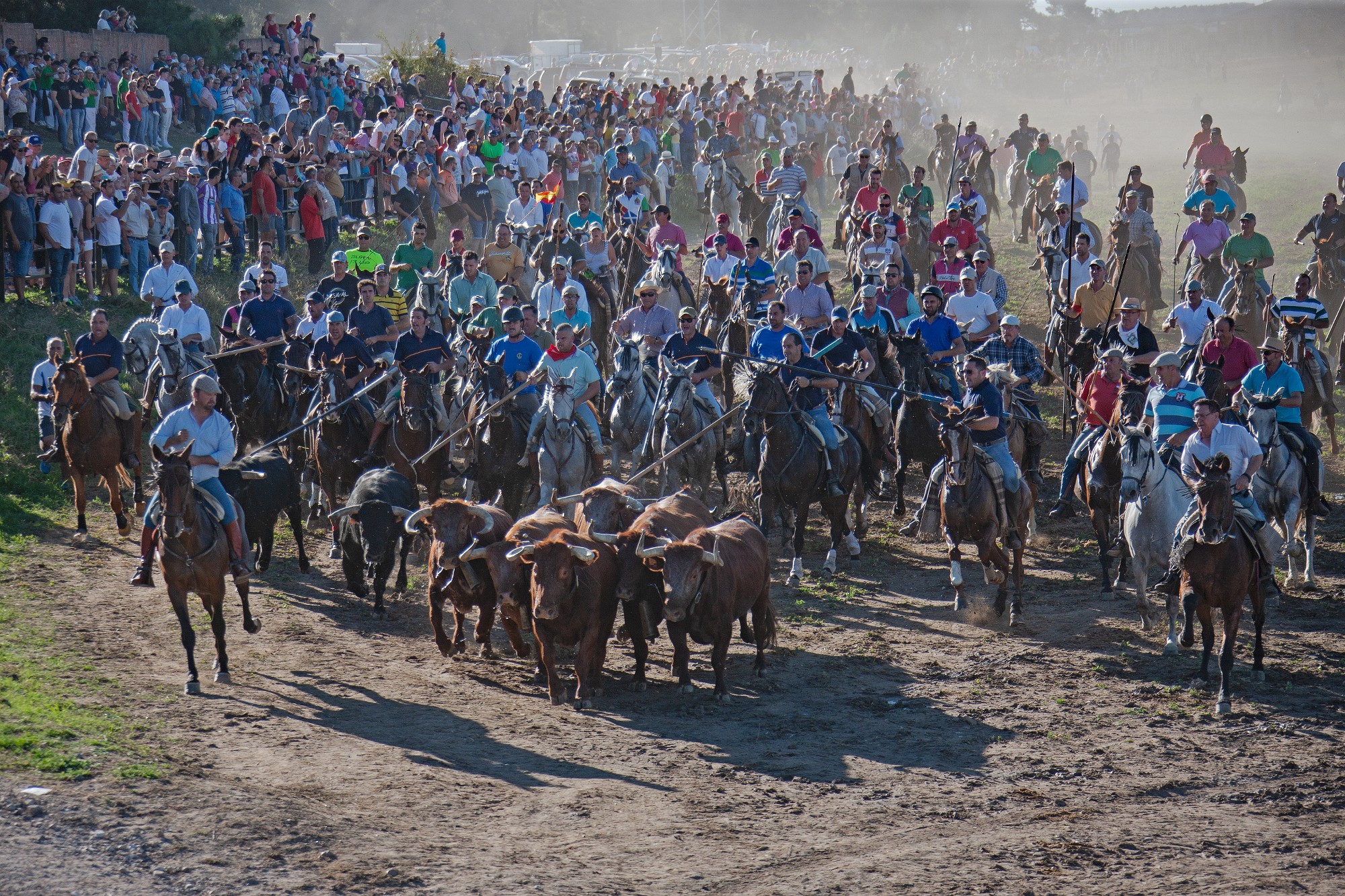 Traditional Running of bulls of Olmedo | Portal de Turismo de Castilla ...