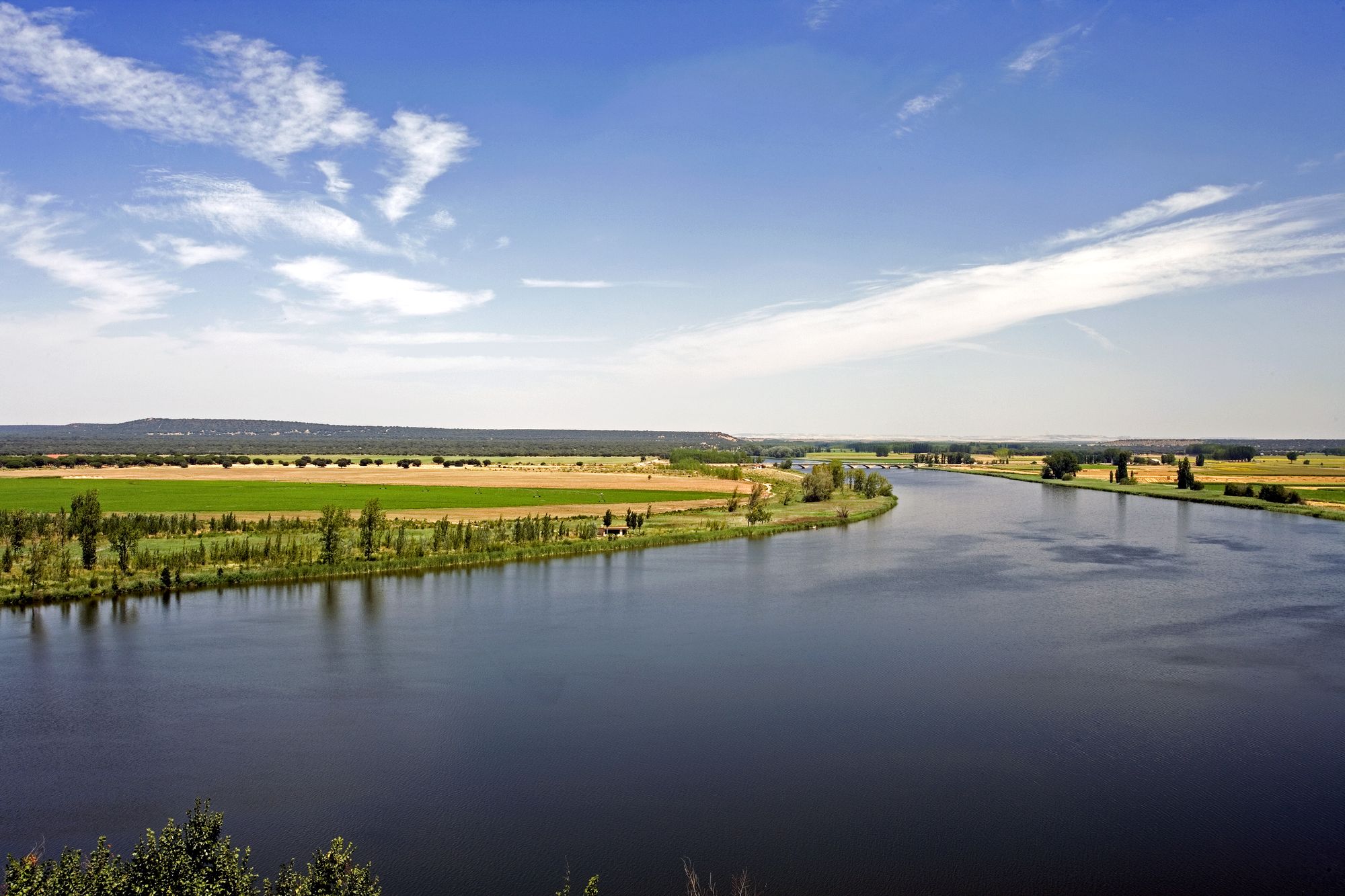 Riberas de Castronuño and Vega del Duero Natural Reserve | Portal de ...