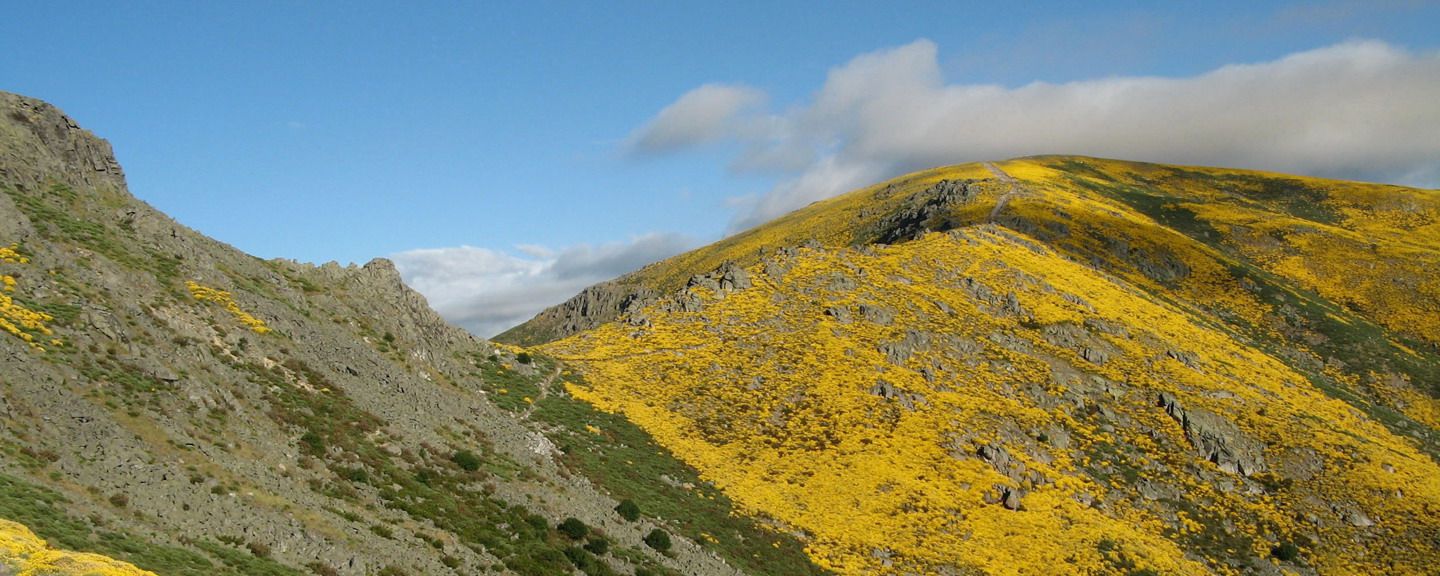 Cerro de la Escusa | Portal de Turismo de Castilla y León