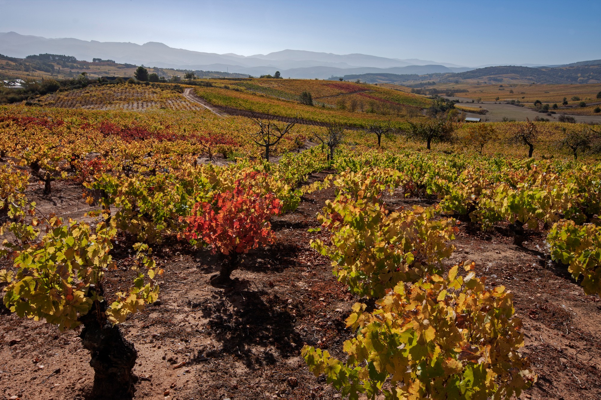 El Bierzo | Portal de Turismo de Castilla y León