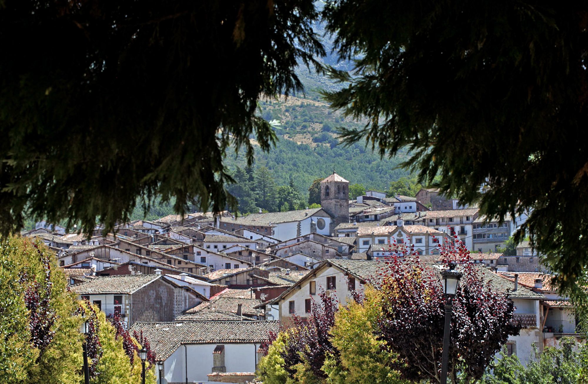 Candelario | Portal de Turismo de Castilla y León