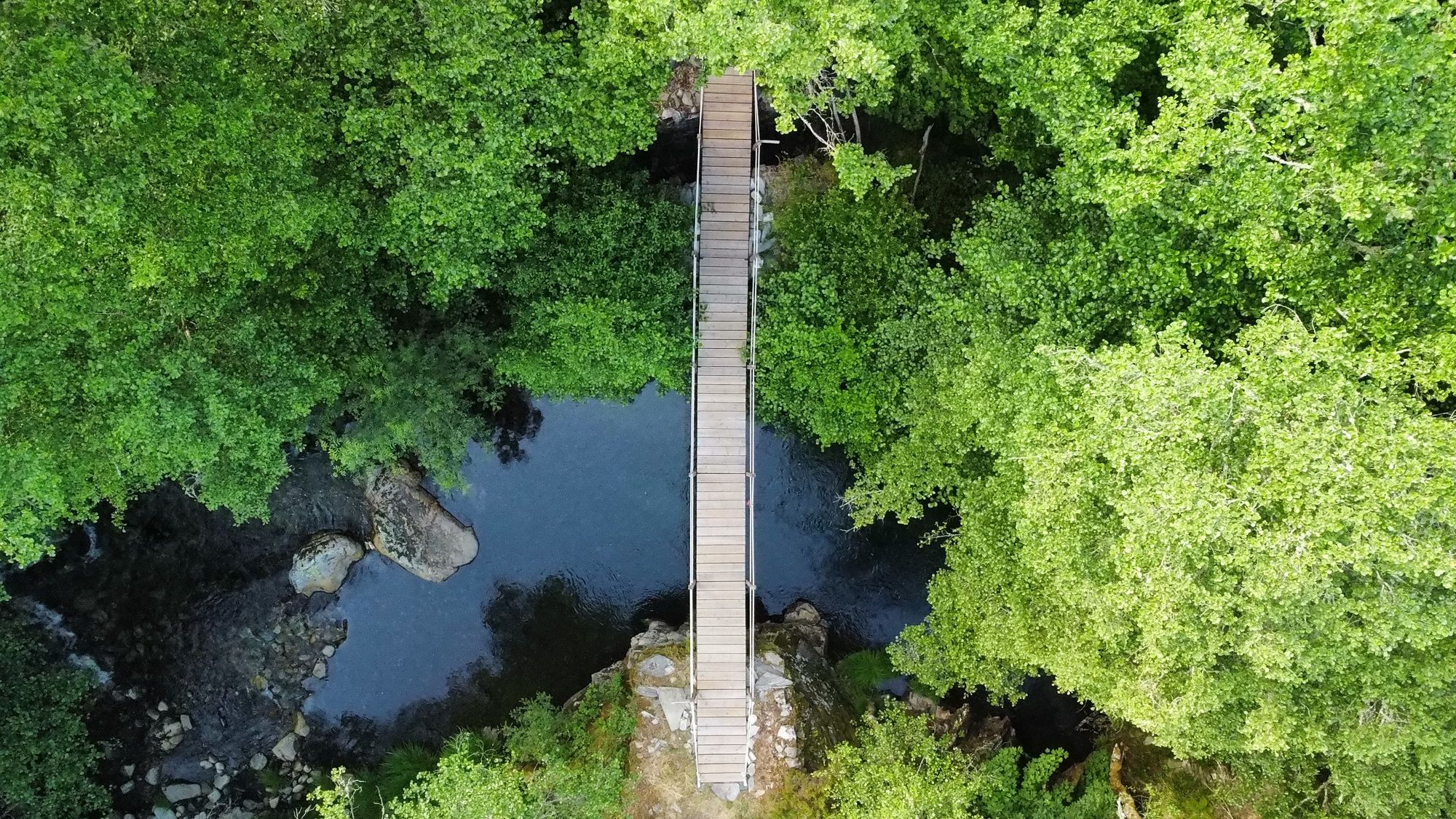 Cave painting of Peña Piñera | Portal de Turismo de Castilla y León