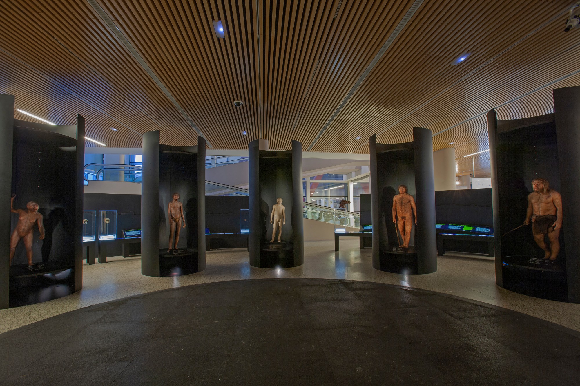 Museum of the Human Evolution | Portal de Turismo de Castilla y León
