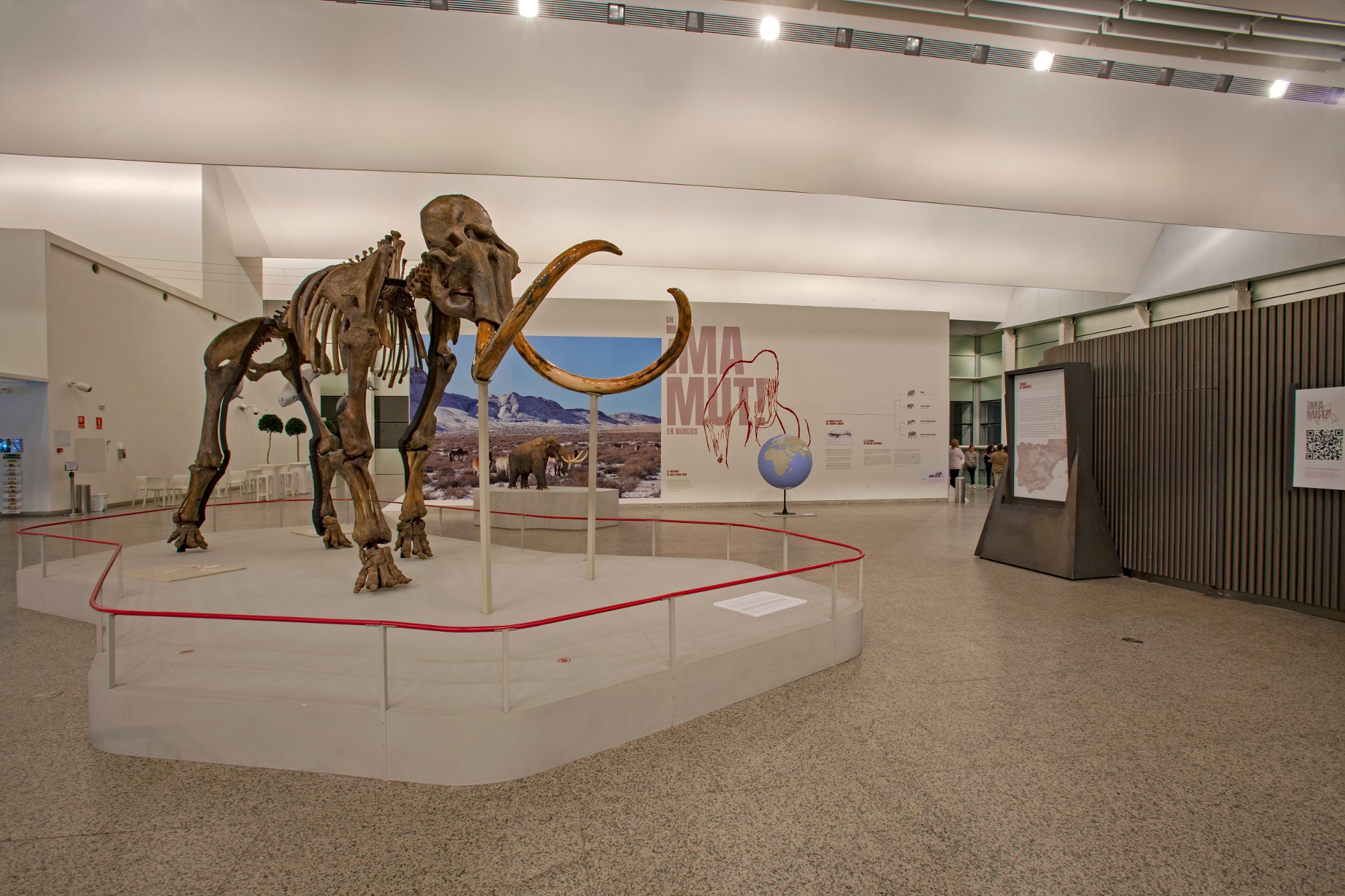 Museum of the Human Evolution | Portal de Turismo de Castilla y León