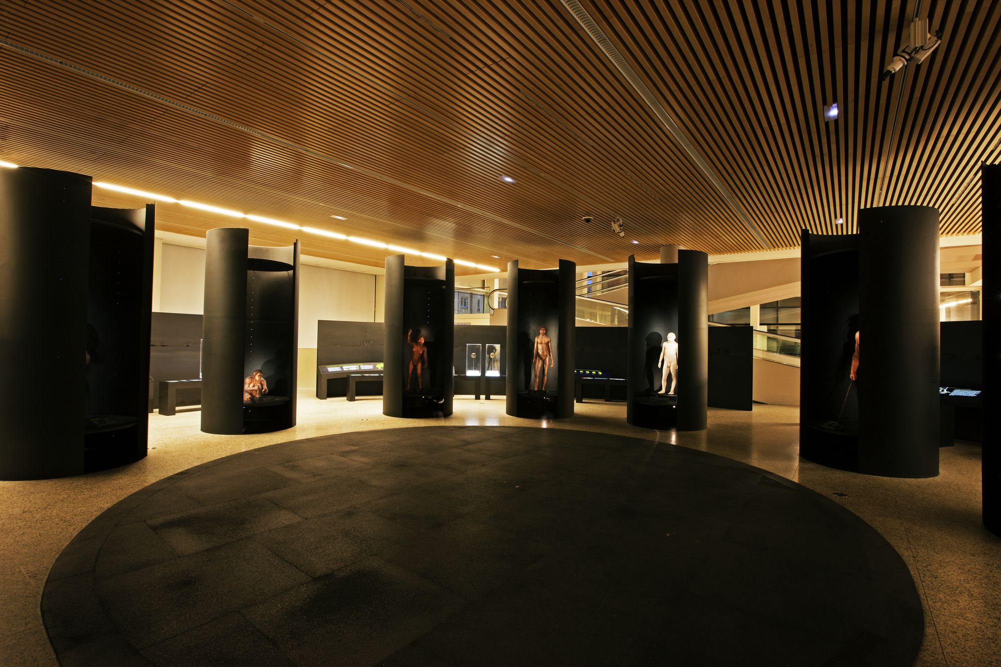 Museum of the Human Evolution | Portal de Turismo de Castilla y León