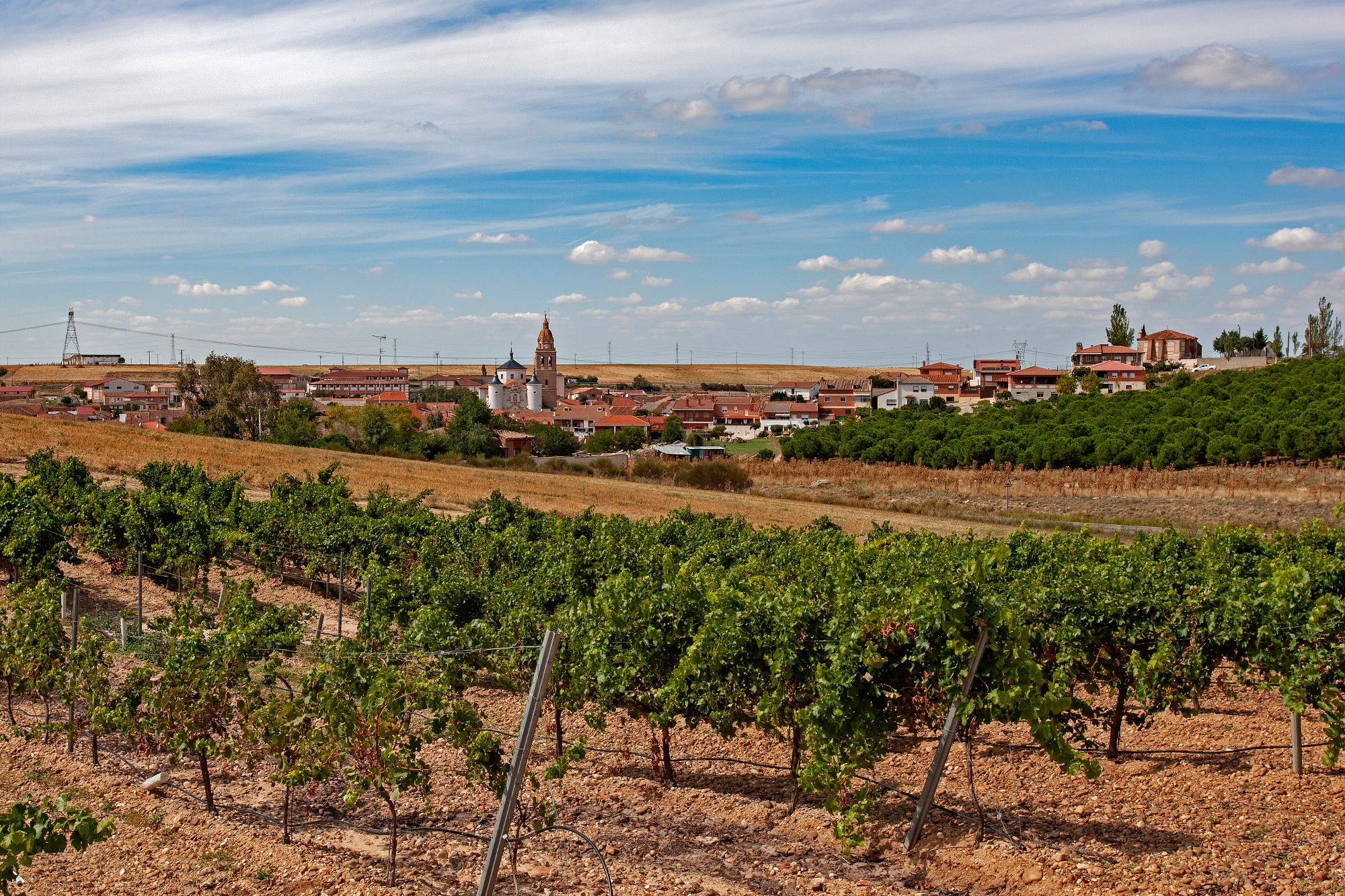 Rueda | Portal de Turismo de Castilla y León