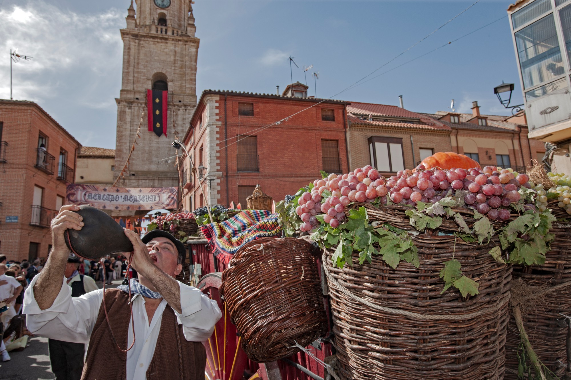 Toro Harvest Festival | Portal de Turismo de Castilla y León
