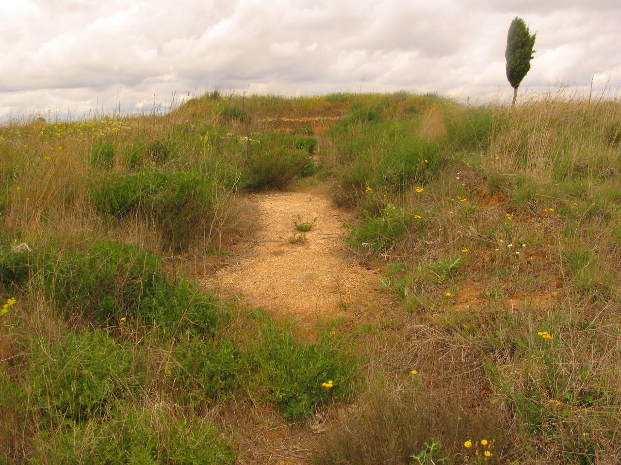 The Velilla | Portal de Turismo de Castilla y León