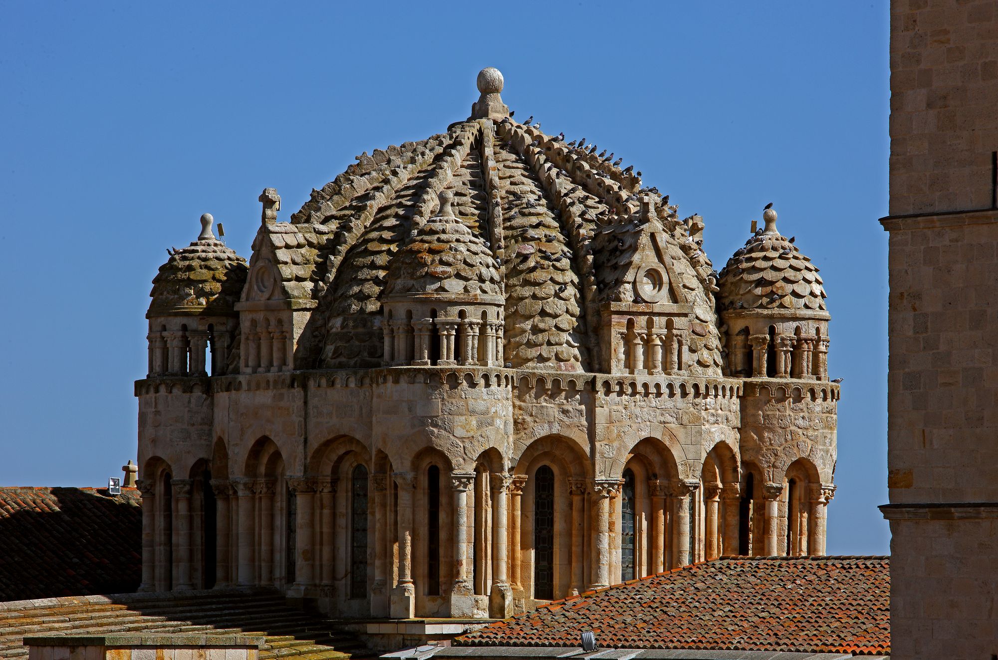Zamora | Portal de Turismo de Castilla y León