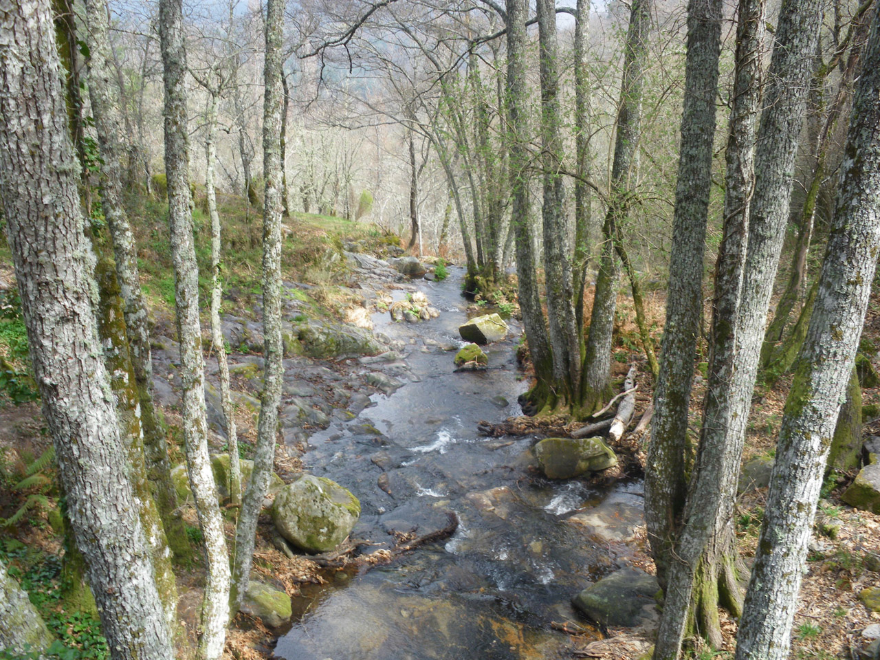 Camino del agua | Portal de Turismo de Castilla y León