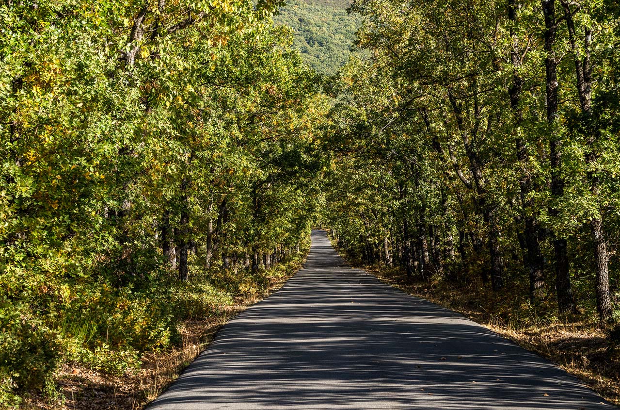 Los pueblos rojos y negros en la sierra de Ayllón de Segovia | Portal ...