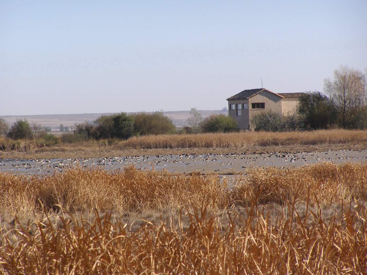 Recorrido por la Laguna de Nava | Portal de Turismo de Castilla y León