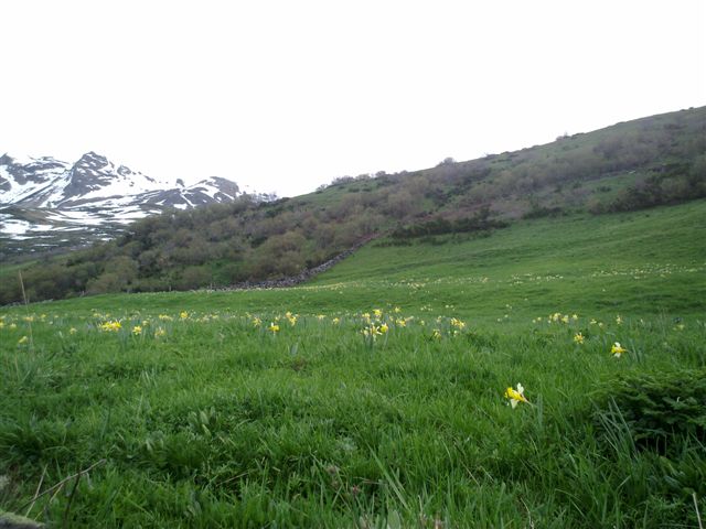 Valle de Laciana | Portal de Turismo de Castilla y León