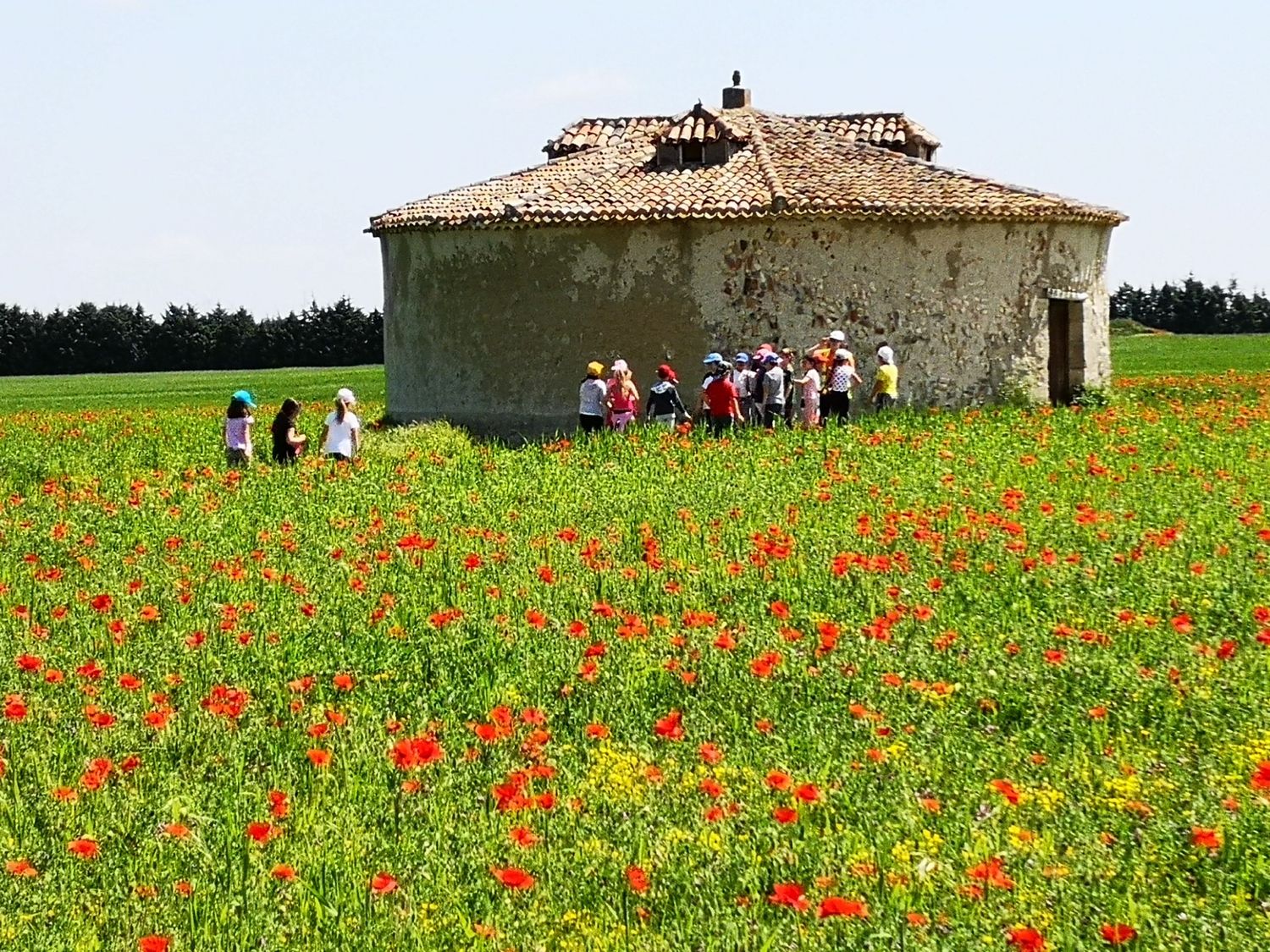 Centro de Interpretación de la Naturaleza de Matallana | Portal de ...