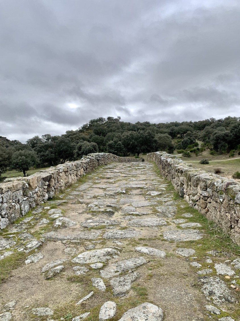 Calzada Romana | Portal de Turismo de Castilla y León