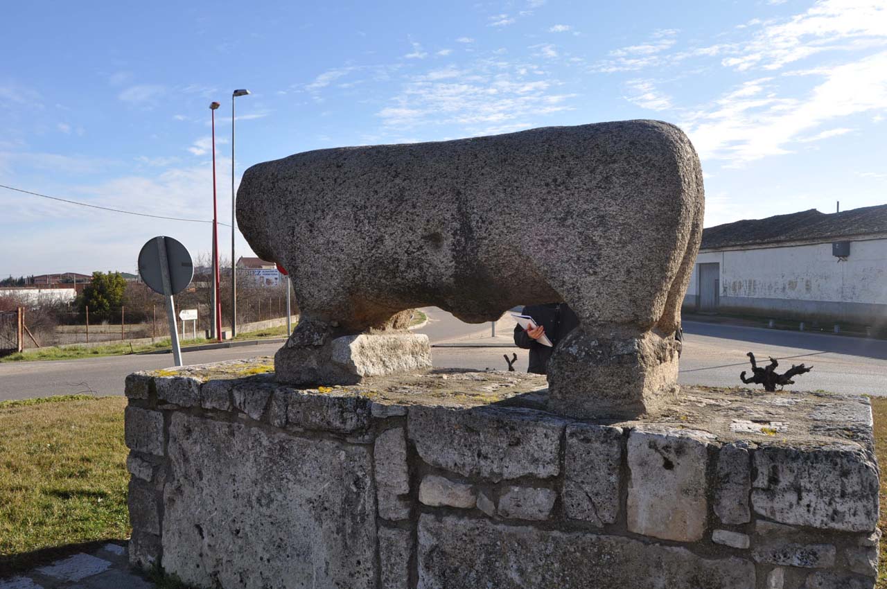 Toro de Piedra o Verraco | Portal de Turismo de Castilla y León